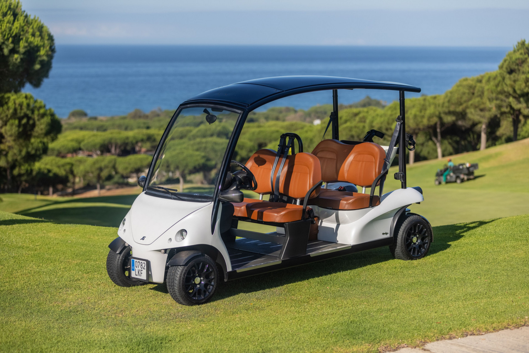 Luxury Golf Carts
